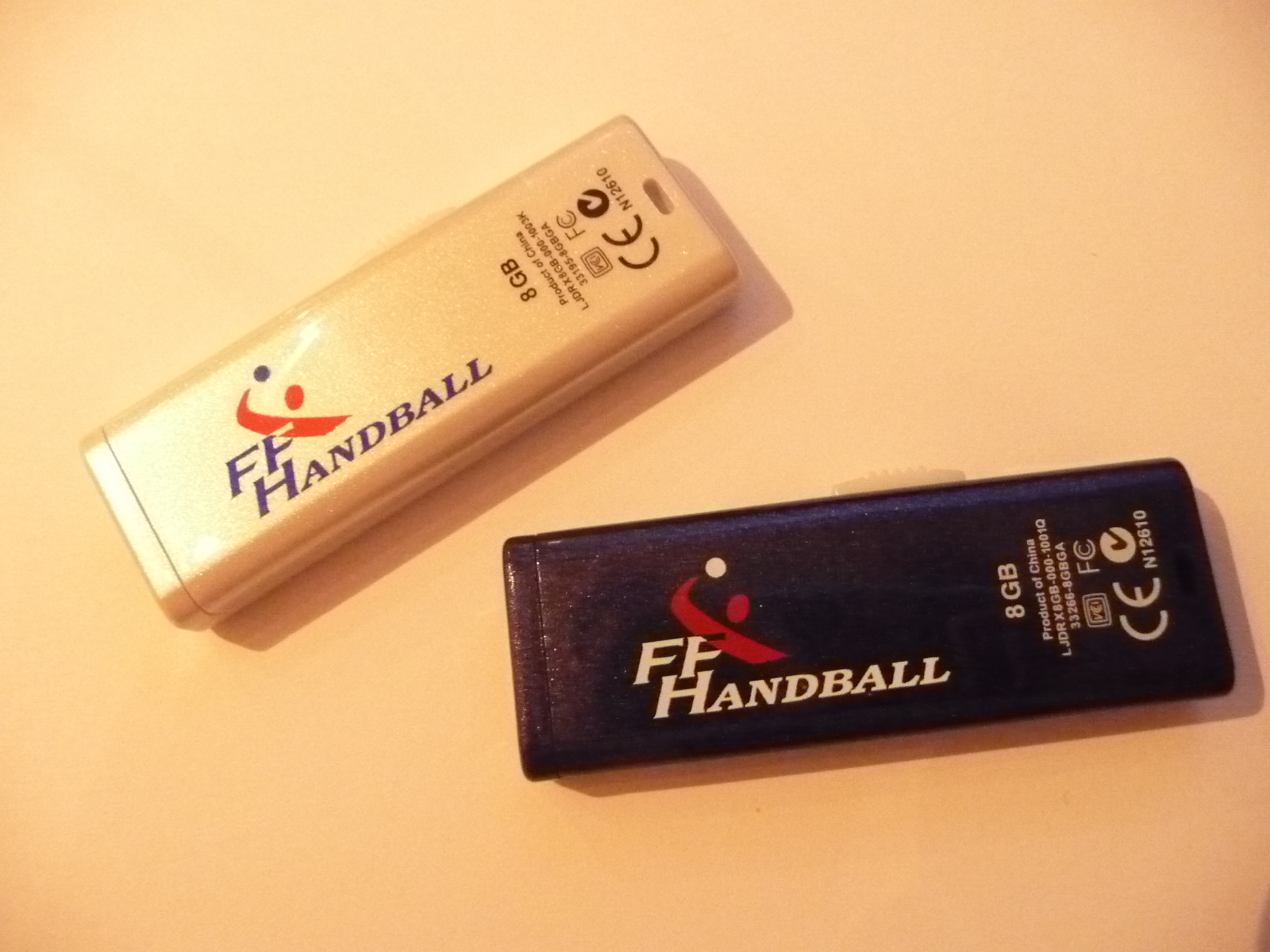 Présentation des ??clés de l?arbitrage?? lors de l?AG de REIMS - FFHandball