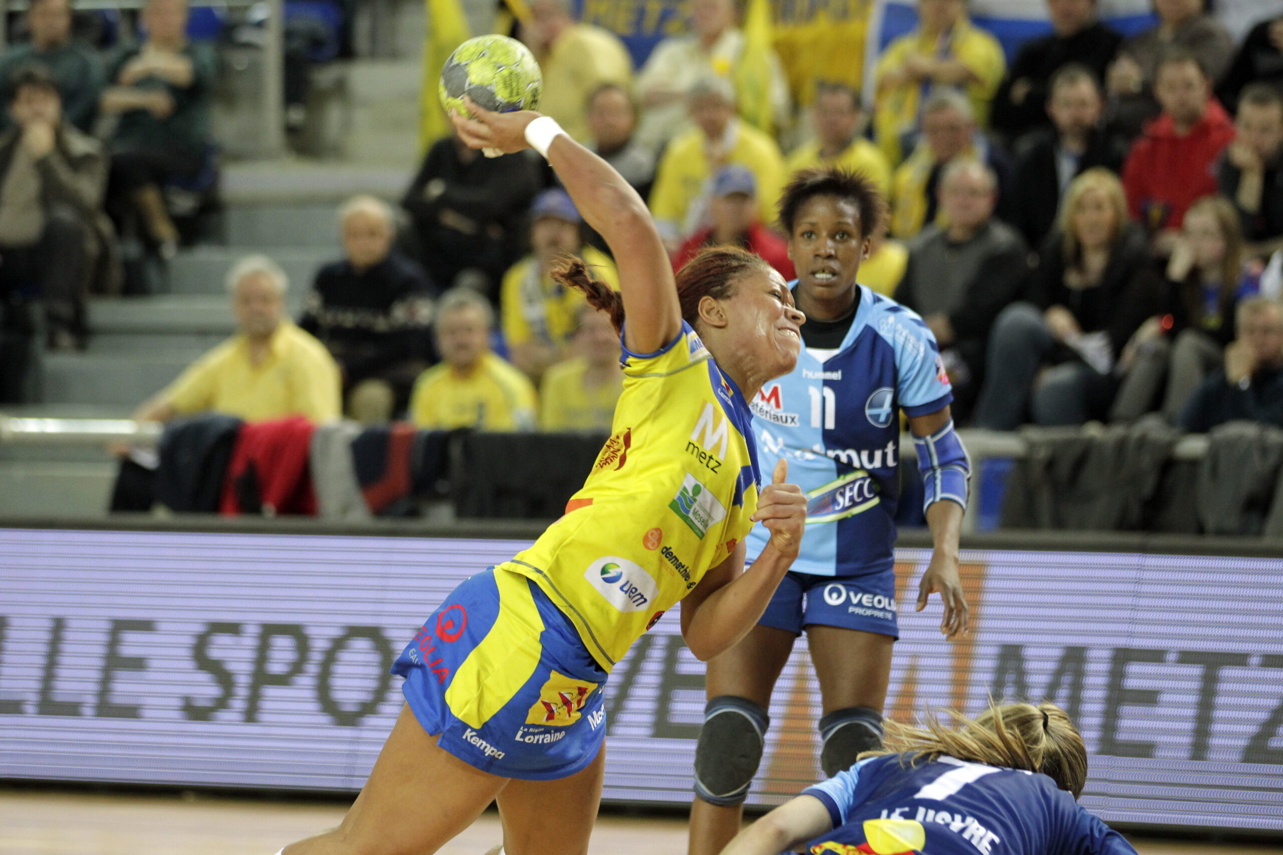 EDF (F) - Rentrée hexagonale ! - FFHandball
