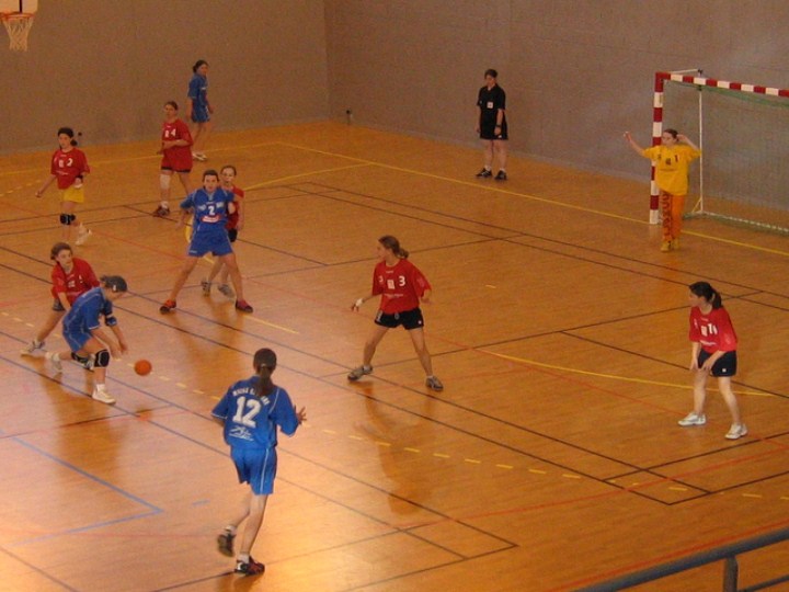Alternance de jeu sur grand et petit espace - FFHandball