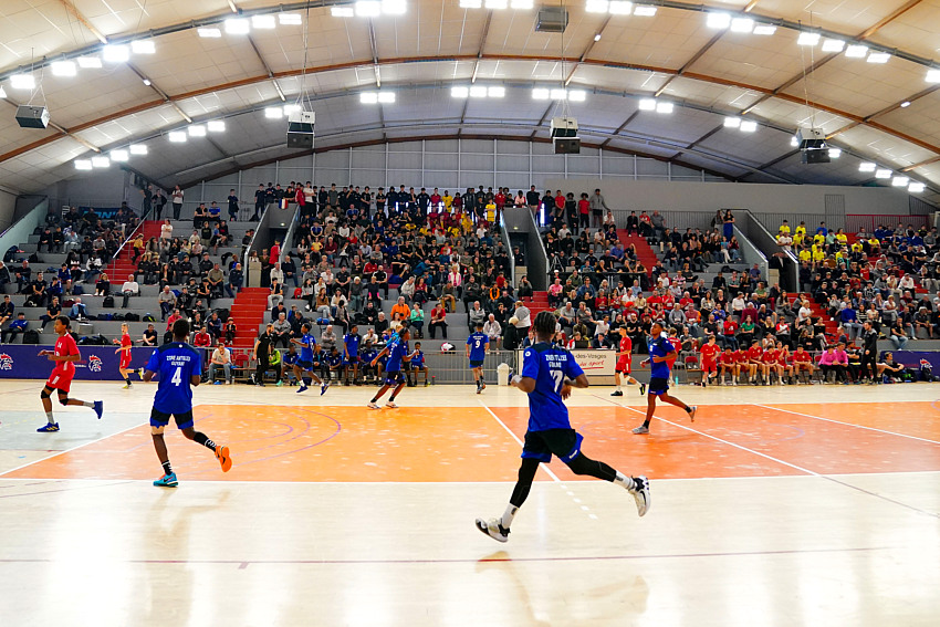 Fédération Française de Handball