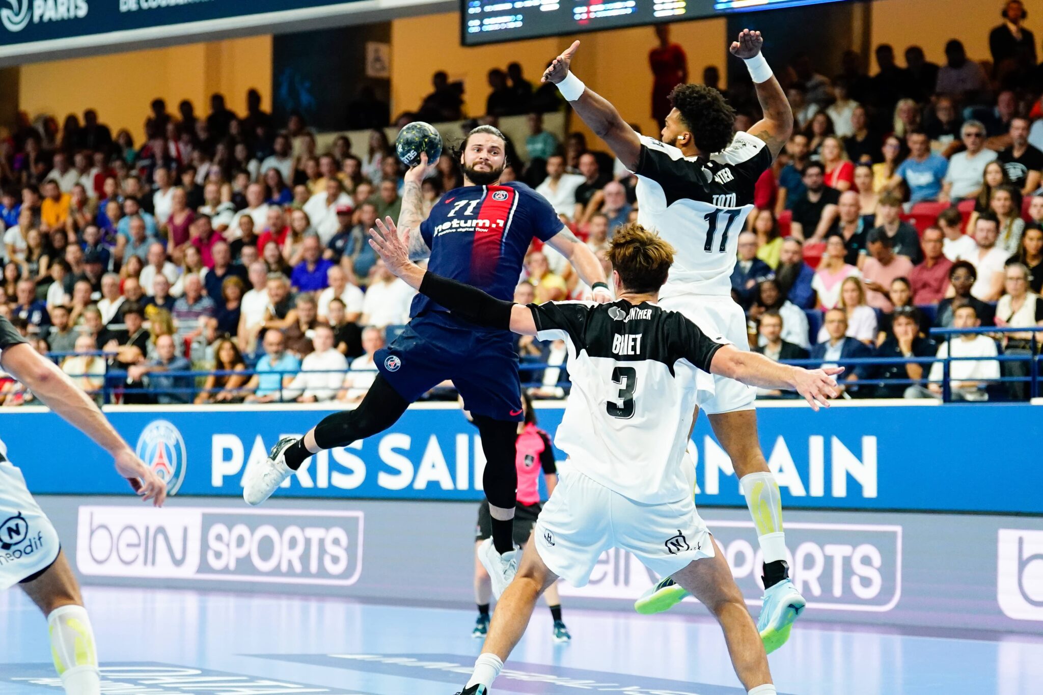 Compétitions - FFHandball