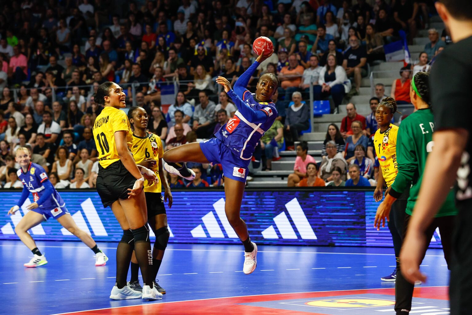 Fédération Française de Handball