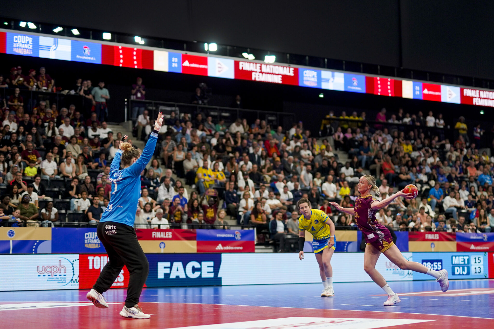 Compétitions - FFHandball