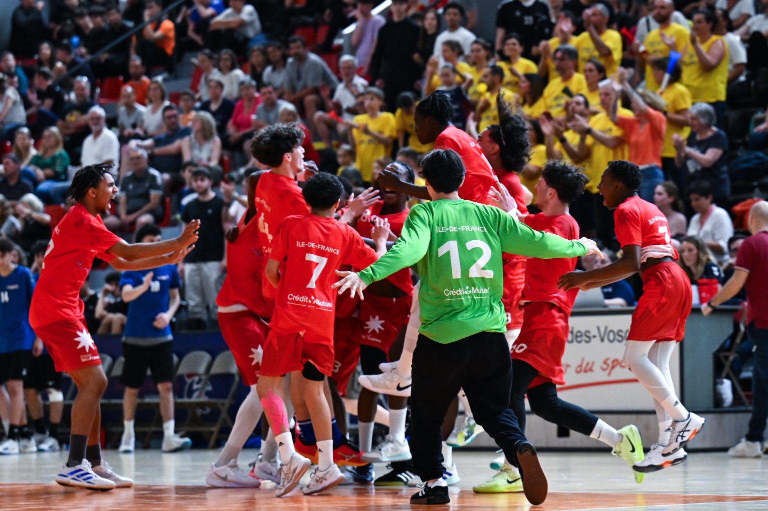 Compétitions - FFHandball